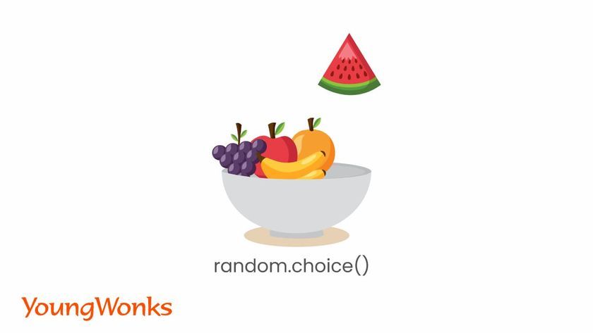 Random Module Python